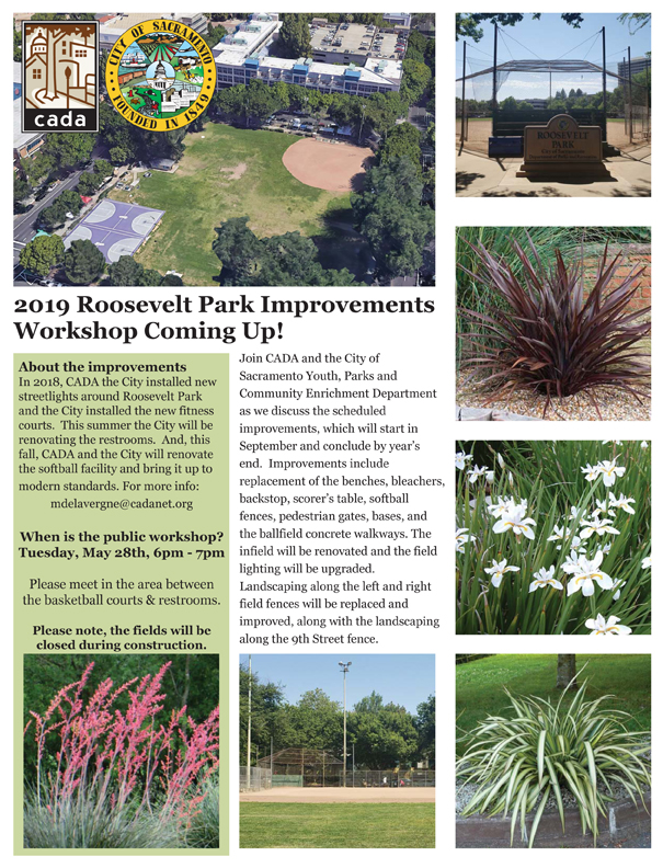 Roosevelt Park - CADA